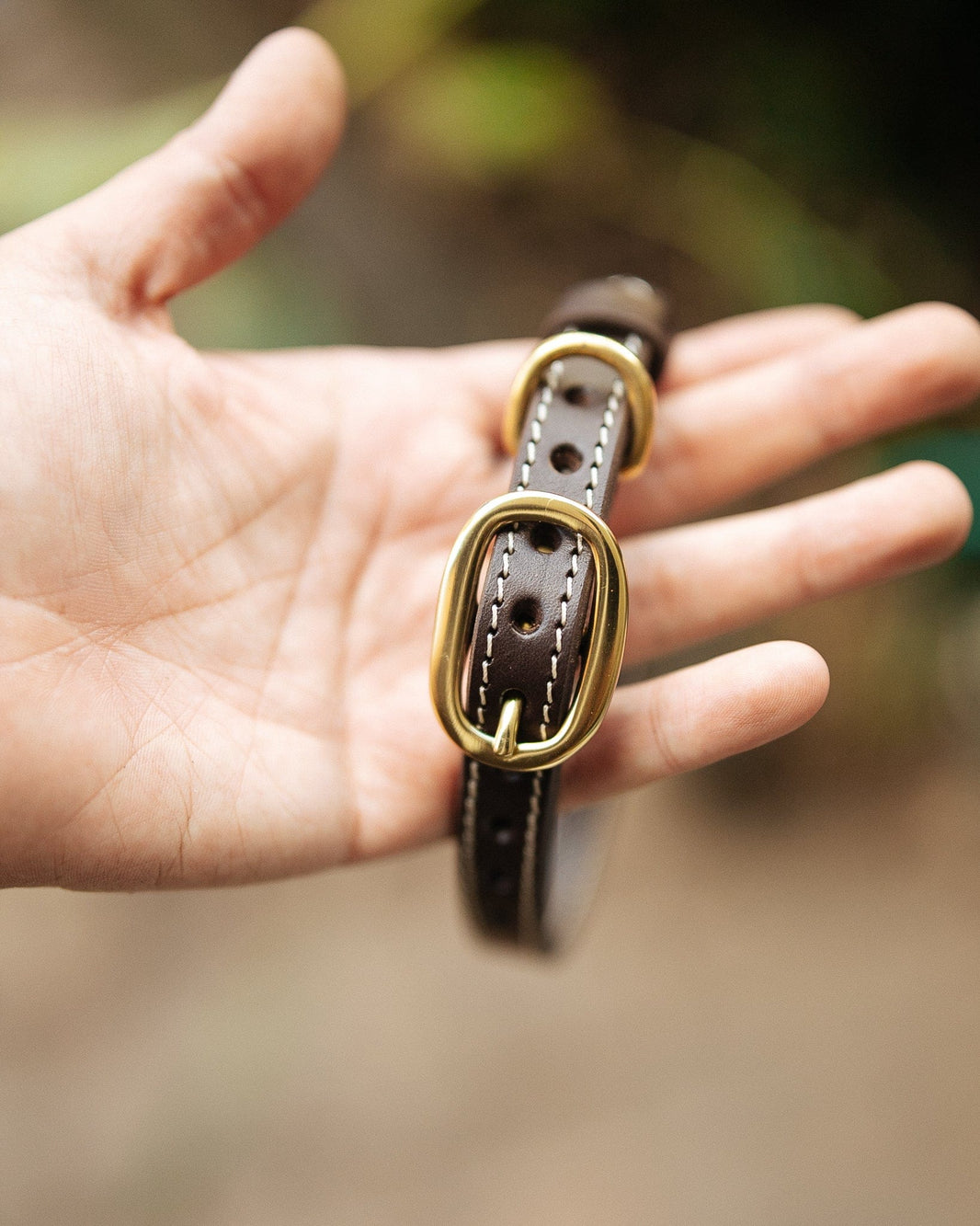 Handmade Leather Dog Collars & Leads- Australian Made – The Real McCaul ...